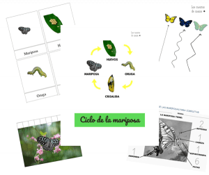 ACTIVIDADES SOBRE MARIPOSAS - Los cuentos de Mamá