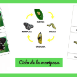 ACTIVIDADES SOBRE MARIPOSAS - Los cuentos de Mamá