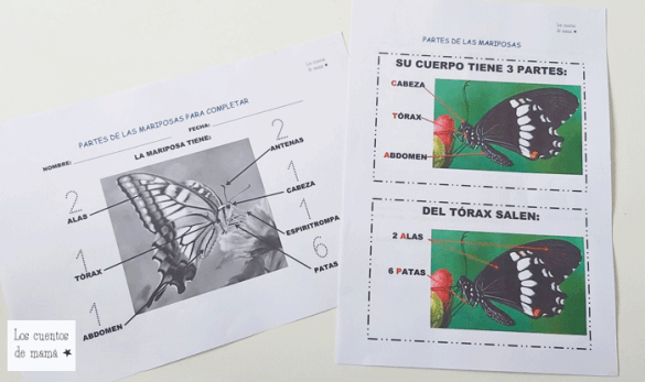 ACTIVIDADES SOBRE MARIPOSAS - Los cuentos de Mamá